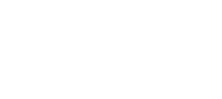 Digital Monkey | About Digital Monkey